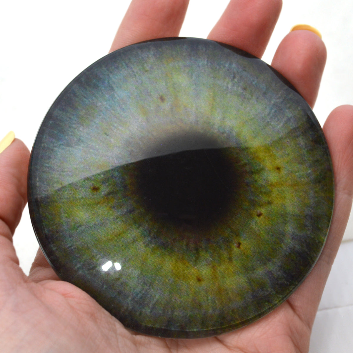 Large 78mm Realistic Green Human Glass Eyes – Handmade Glass Eyes