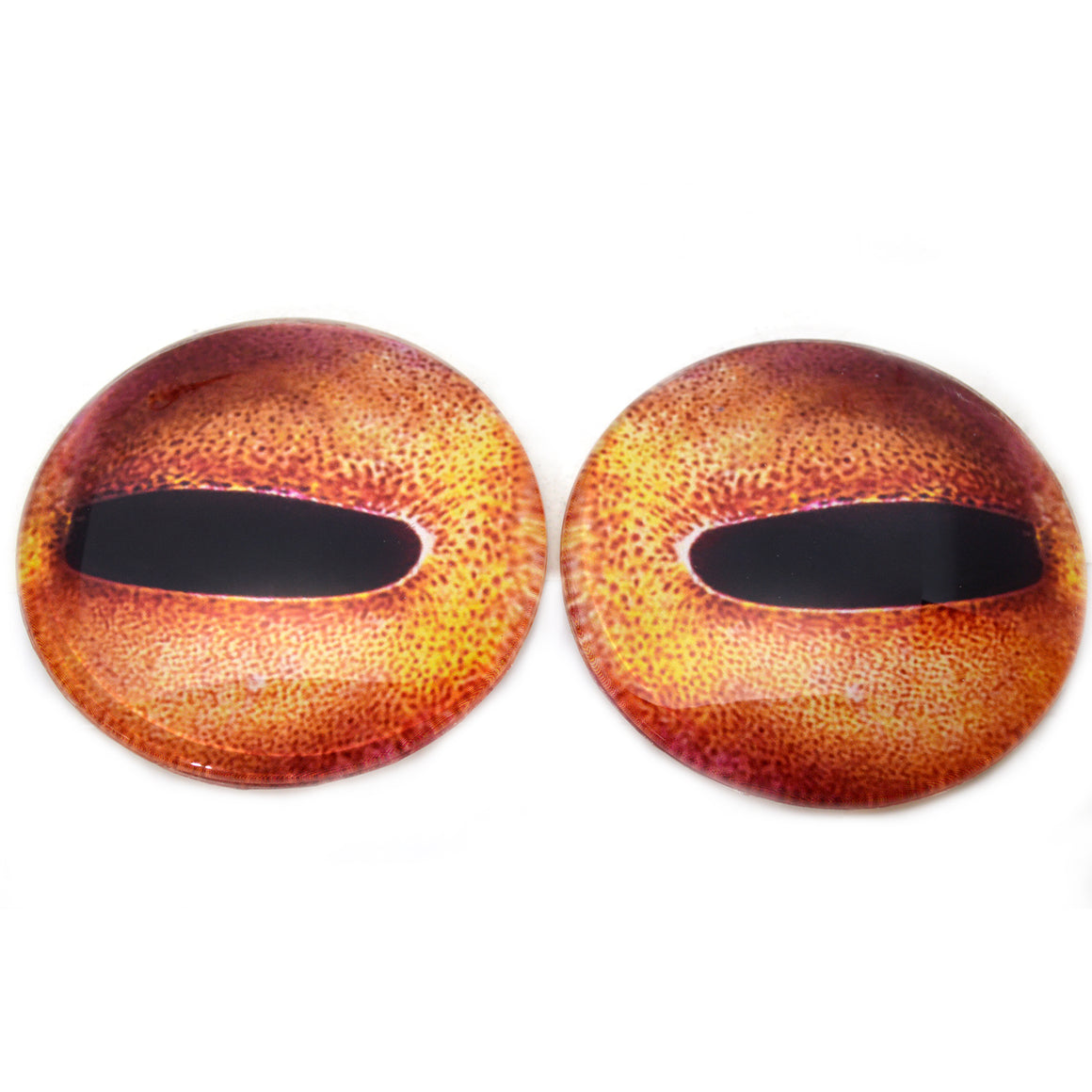 Glass Fish Eyes – Handmade Glass Eyes