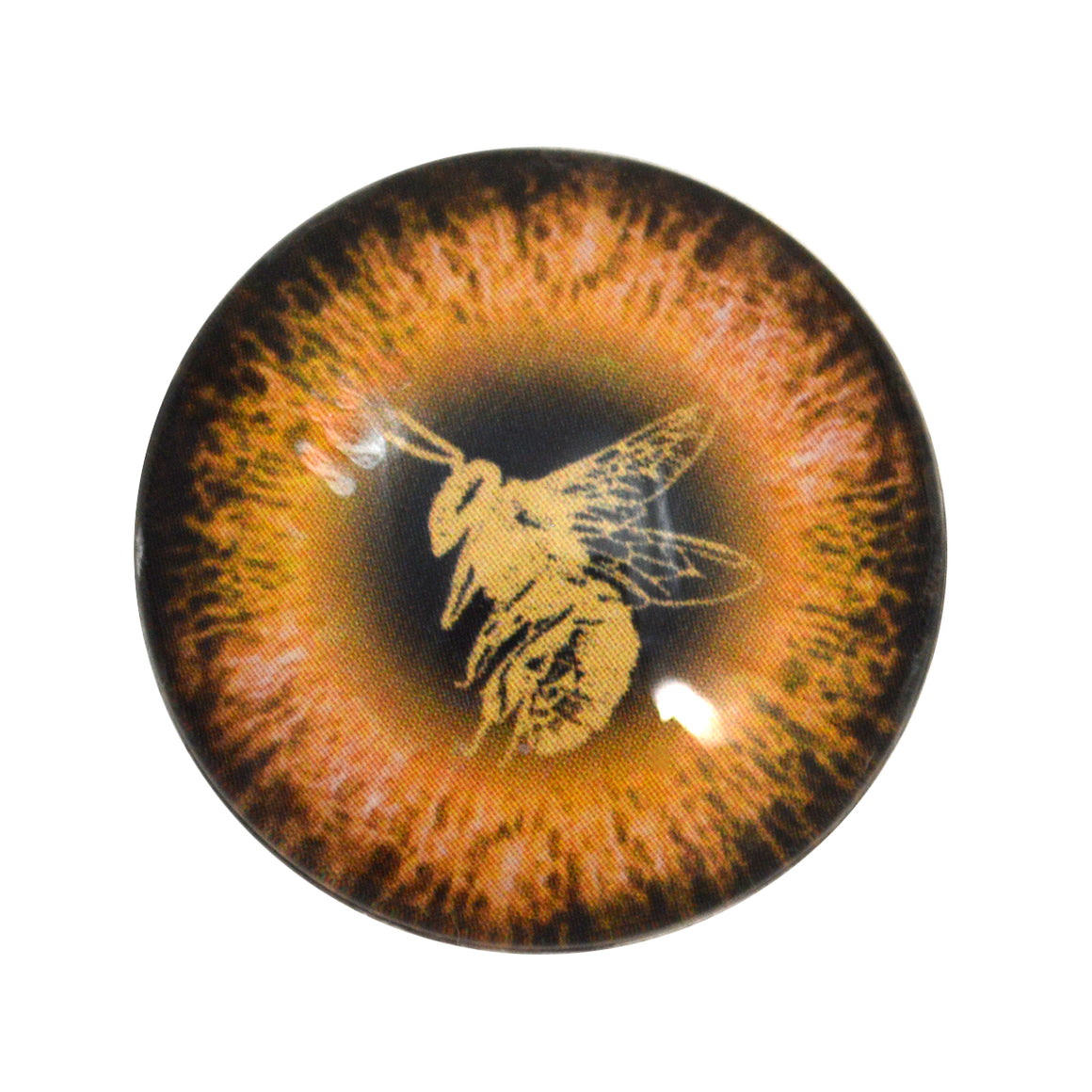 Honey Bee Collection – Handmade Glass Eyes