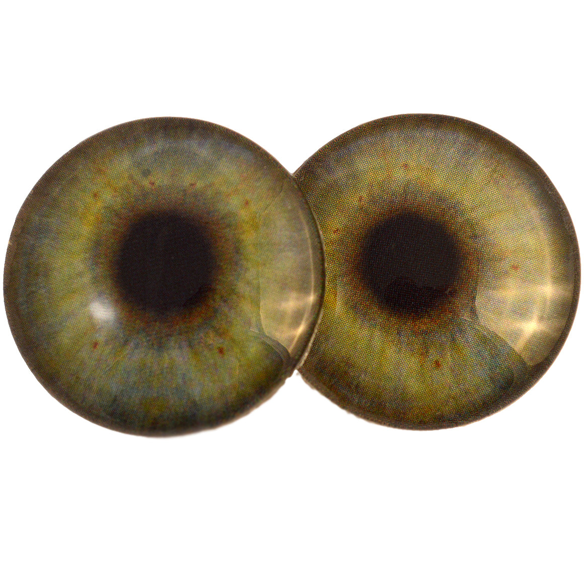 Human Glass Eyes – Handmade Glass Eyes