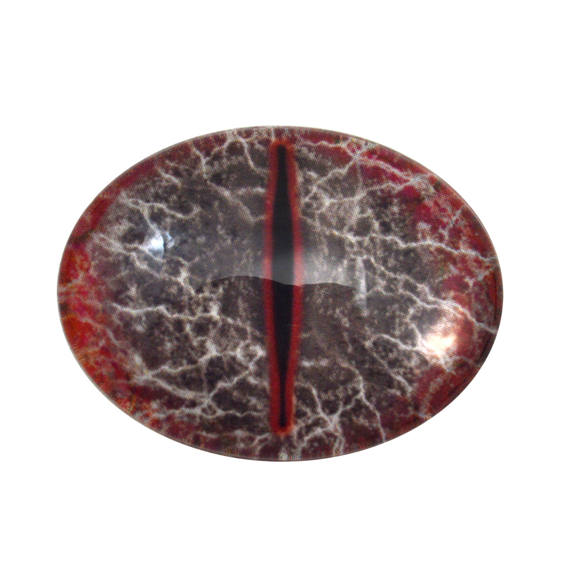 Oval Eyes – Handmade Glass Eyes