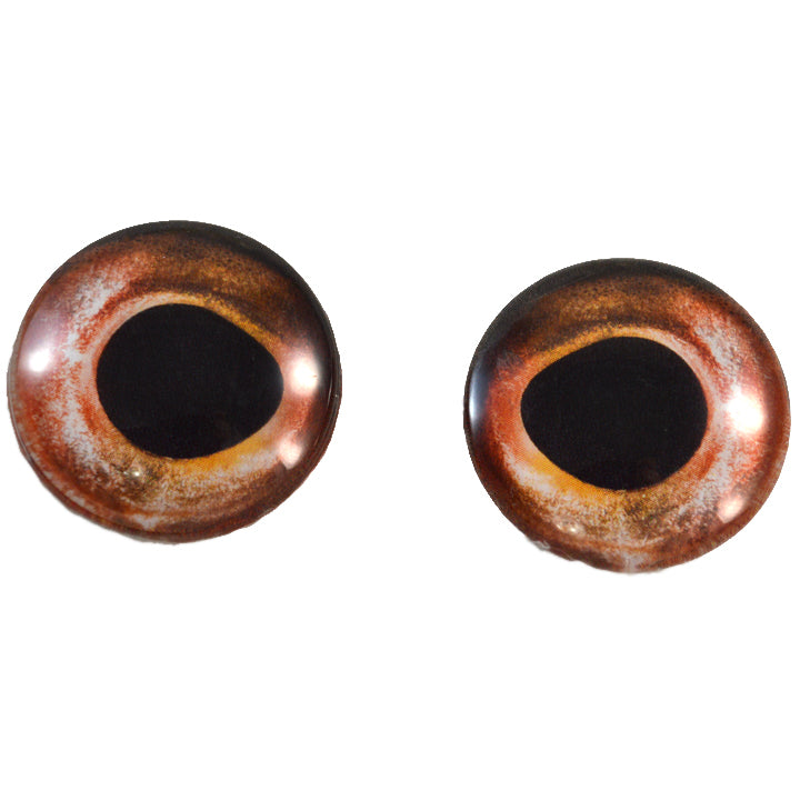 Red Bass Glass Fish Eyes – Handmade Glass Eyes
