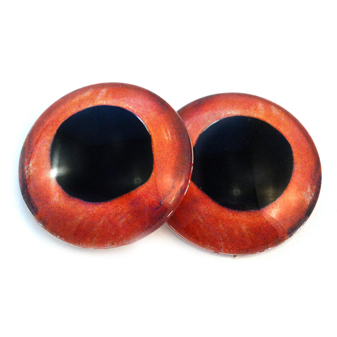Glass Fish Eyes – Handmade Glass Eyes
